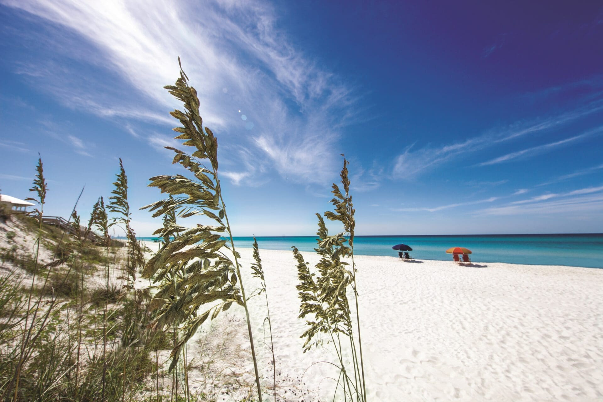 Inlet Beach - South Walton Connections